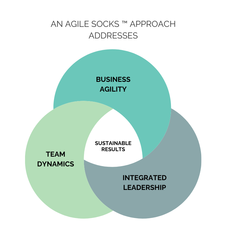 Home - Agile Socks LLC - Business Agility & Scrum Enablement